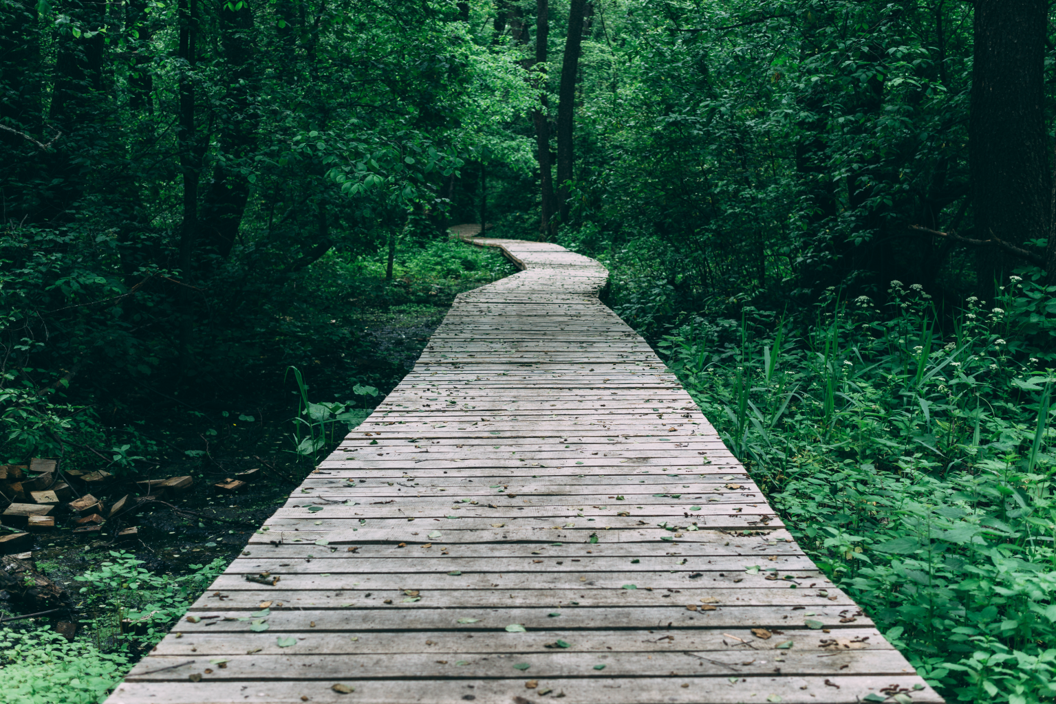 What Is Digital Transformation and How to Implement It? - Salesforce ANZ