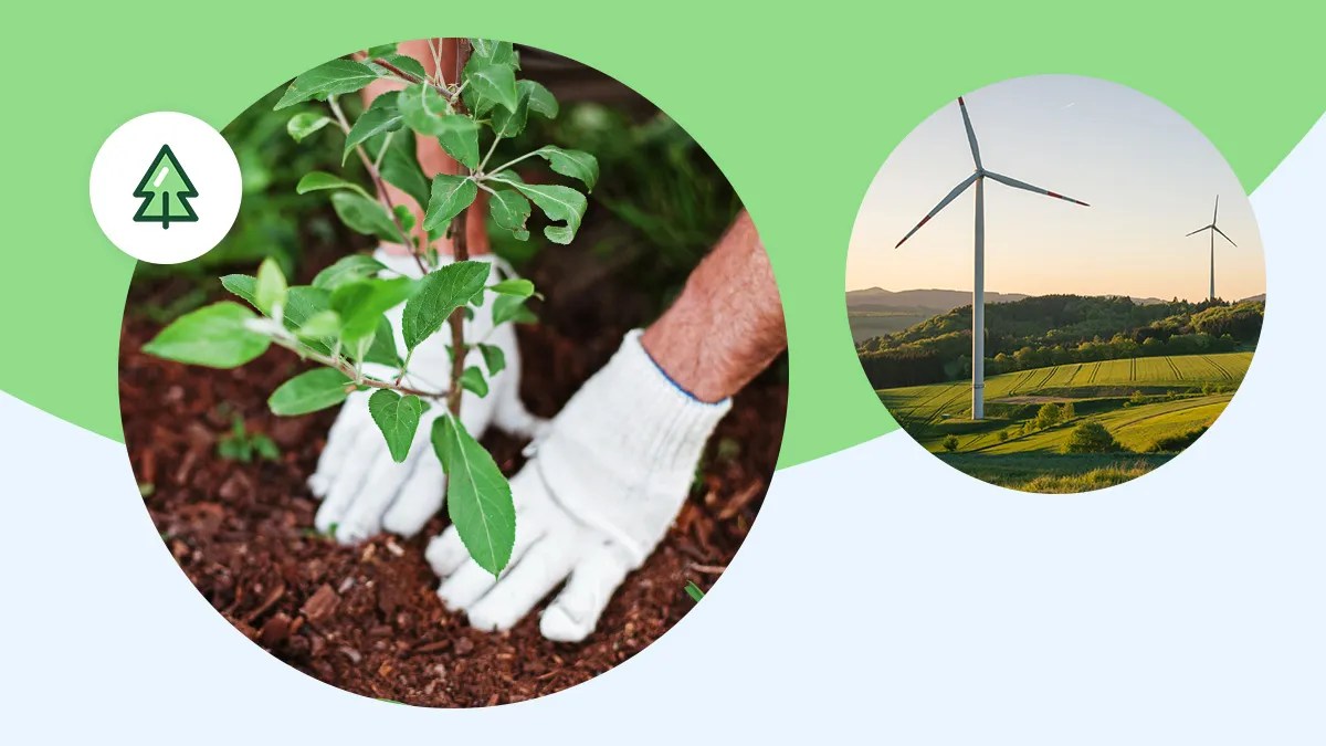 A Guide to How Salesforce Sustainability Efforts Support COP28 ...