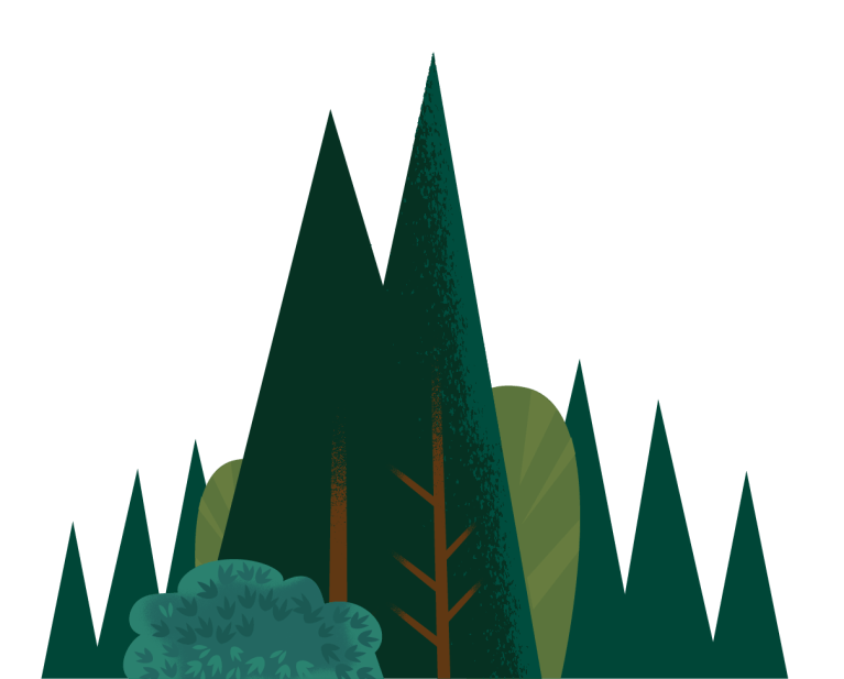 Developers | Salesforce Blog