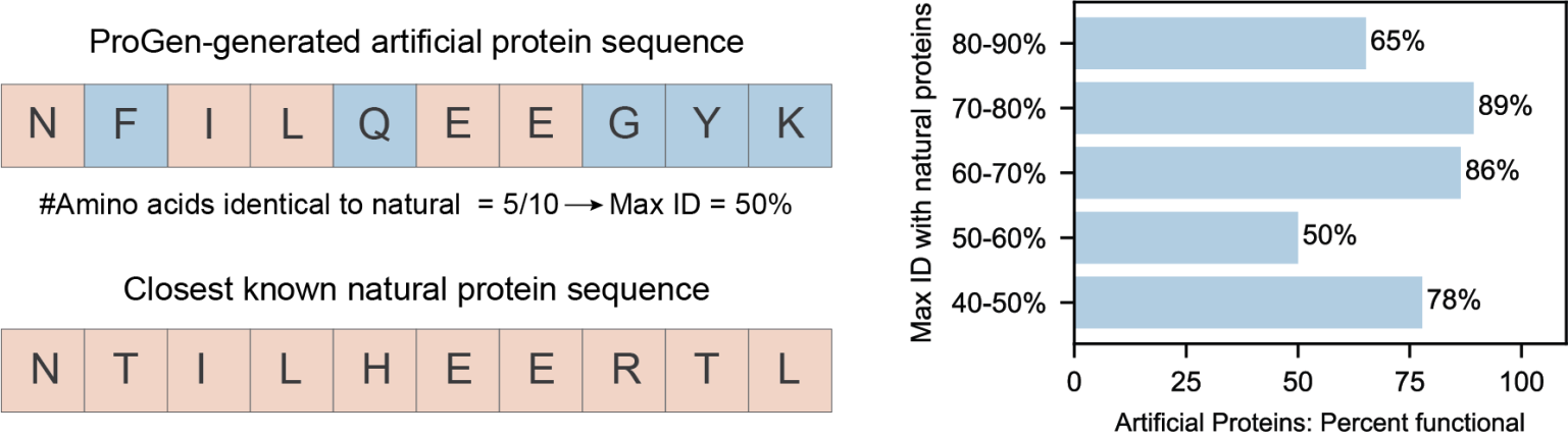 Learning from evolution: Using AI language models to design proteins