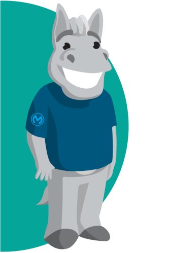 Salesforce Characters and Mascots | Salesforce