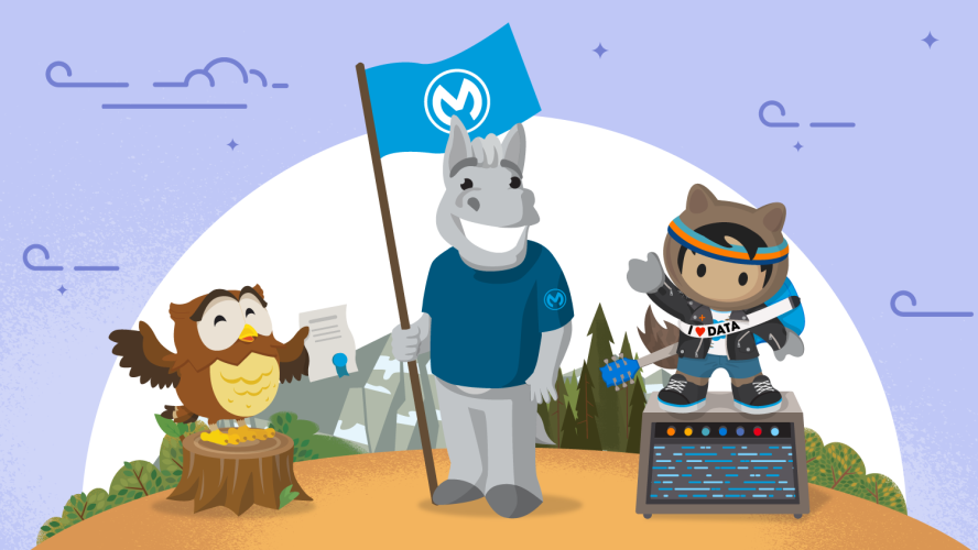 Get Started With Salesforce Entry Level Certifications | Salesforce