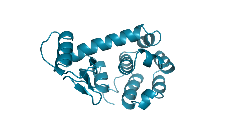 Learning from evolution: Using AI language models to design proteins