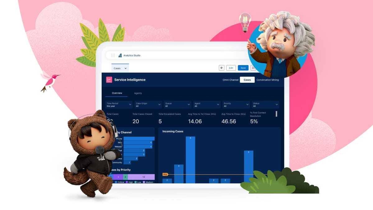 Service Intelligence Demo Video - Salesforce