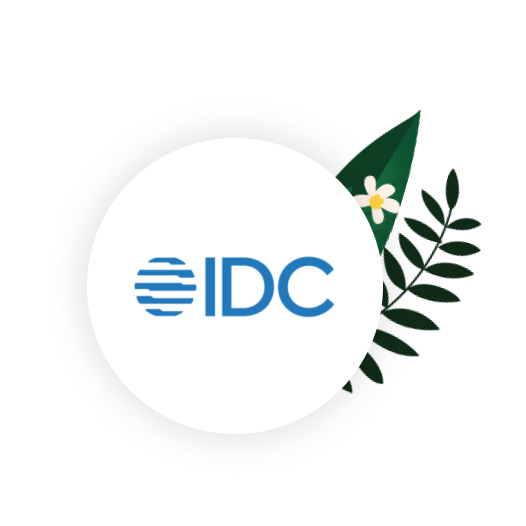 Idc Health Insights Logo