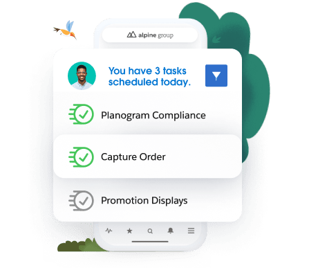 Retail Execution - Salesforce.com