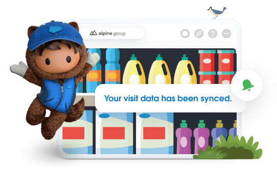 Retail Execution - Salesforce.com