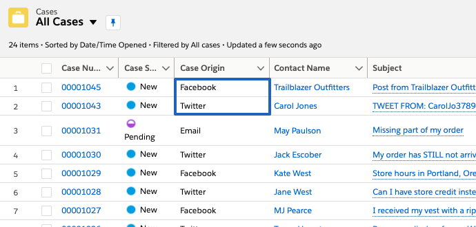 The Basics of Essentials - Salesforce.com