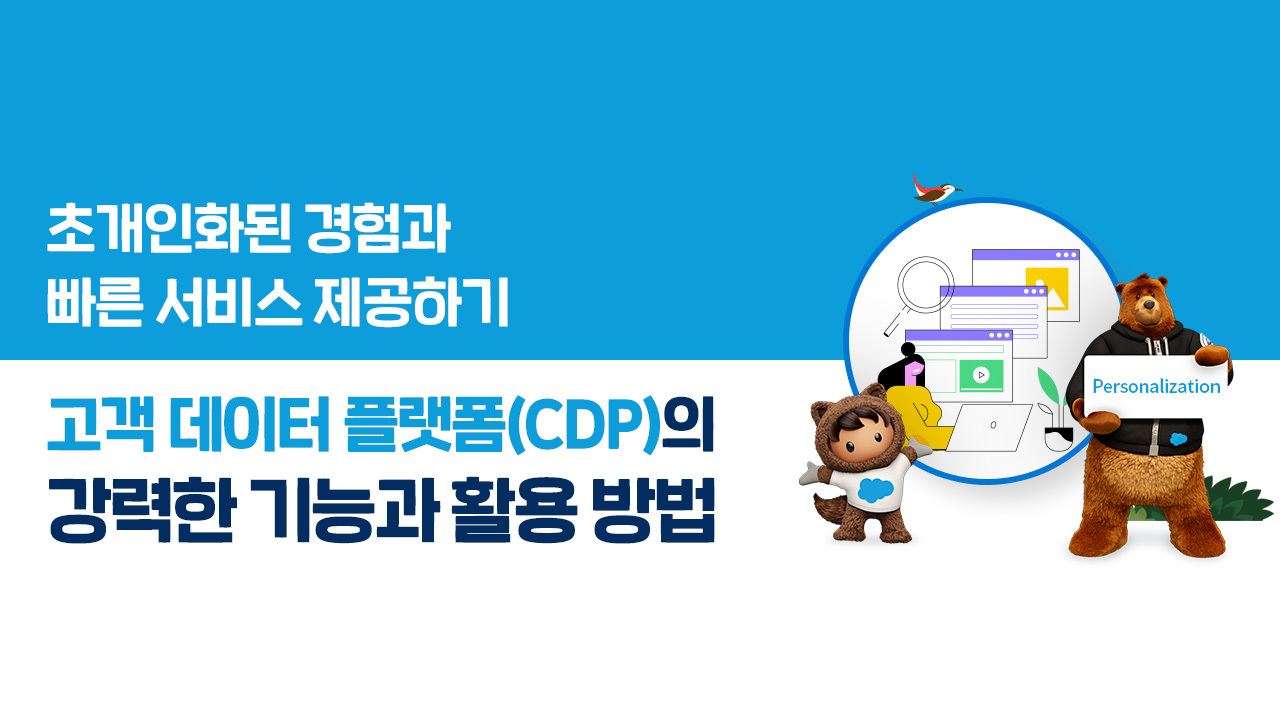 강력한 도구인 고객 데이터 플랫폼cdp 활용 방법 세일즈포스 Salesforce