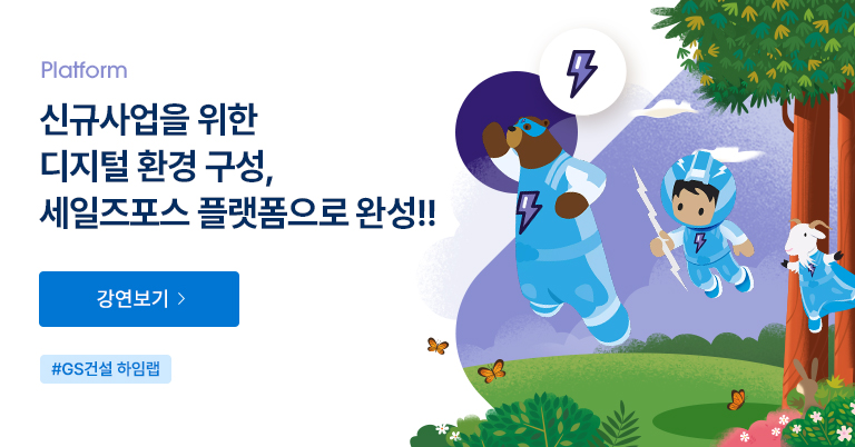 Salesforce Platform 신규사업을 위한 디지털 환경 구성 세일즈포스 플랫폼으로 완성 세일즈포스