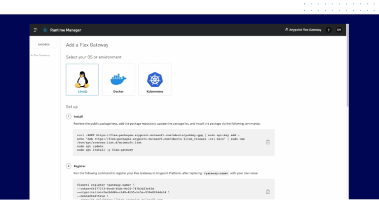 API Gateway: Definition, Funktionen & Tutorial - Salesforce