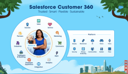 How To Pull Data From Salesforce Einstein Hub SalesForce Guide