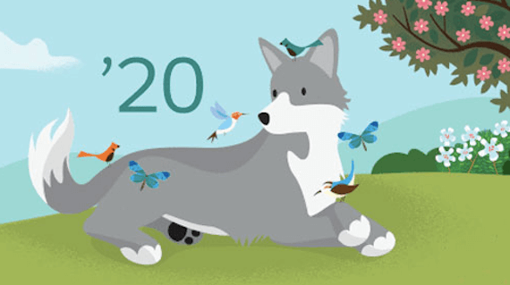 Salesforce Spring ’20 Release Features Now Available - Salesforce