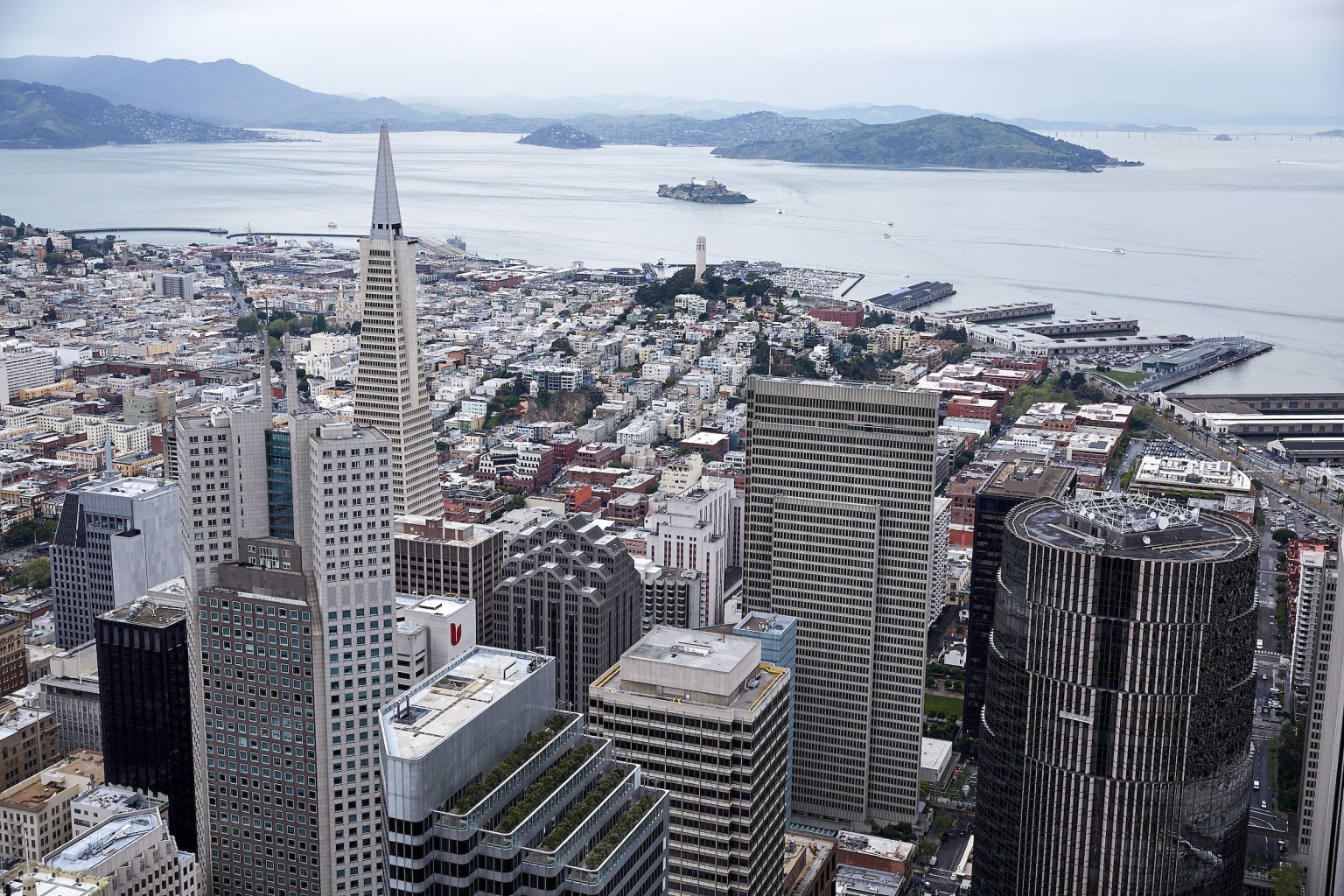 San Francisco Salesforce Tower Ohana Floor View 2 - Salesforce