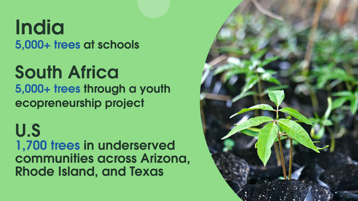 Salesforce Accelerates Fight Against Climate Change with New Trees ...