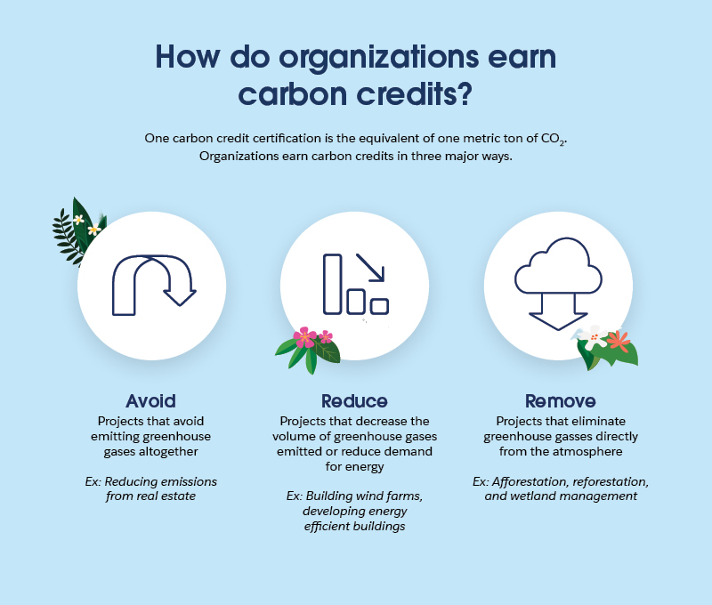 Salesforce Bets On Ecopreneurs Unlocking the Power of Carbon Markets ...