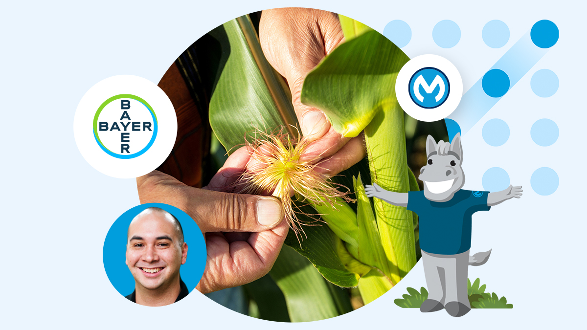 Mulesoft Archives Salesforce News