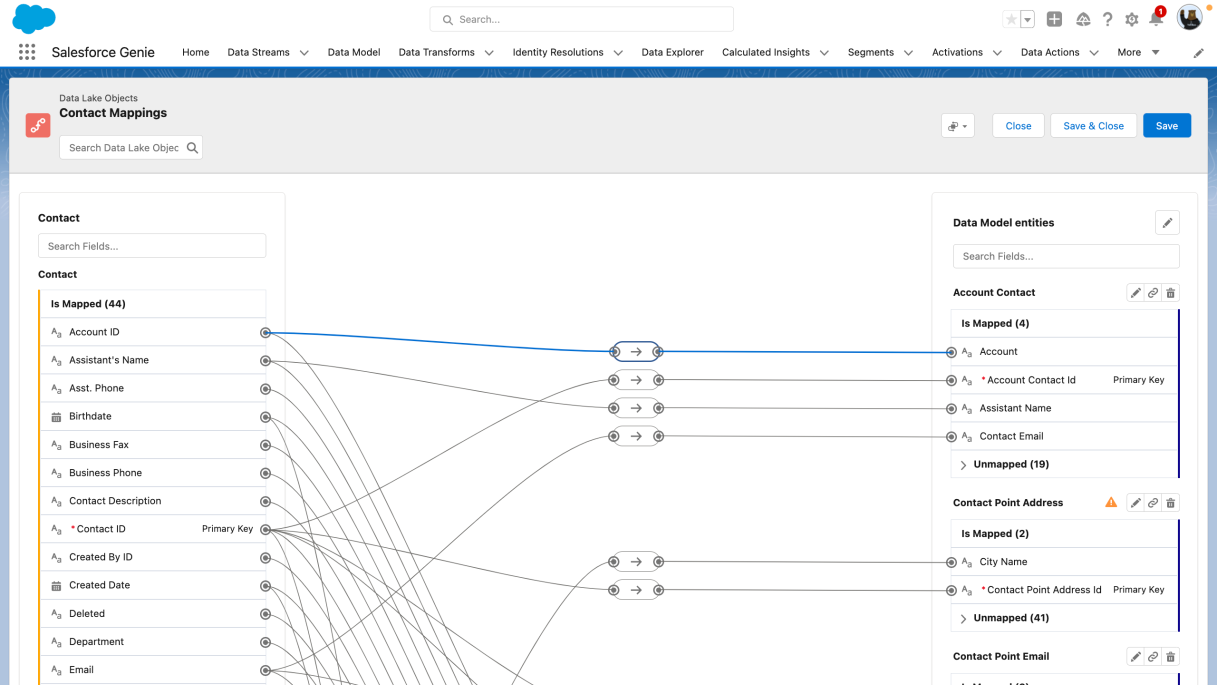 Salesforce Genie: Customer Graph - Salesforce