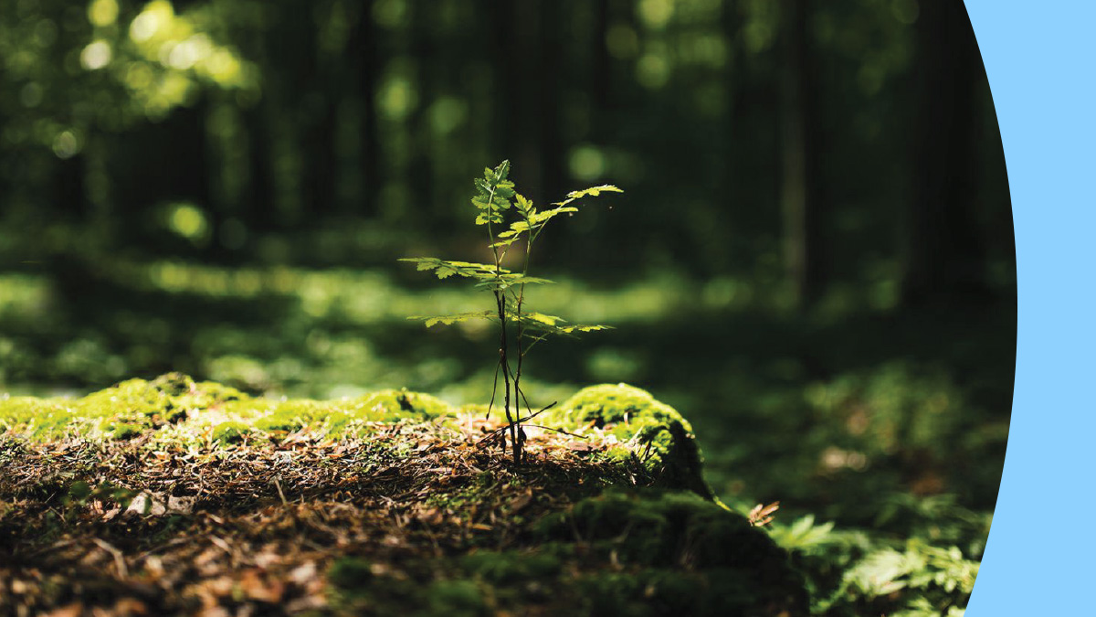 Salesforce Outlines Strategy to Boost Private Sector Support for Nature ...
