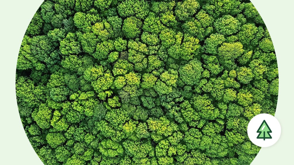 Significant New Research Validates the Importance of Forests as a ...