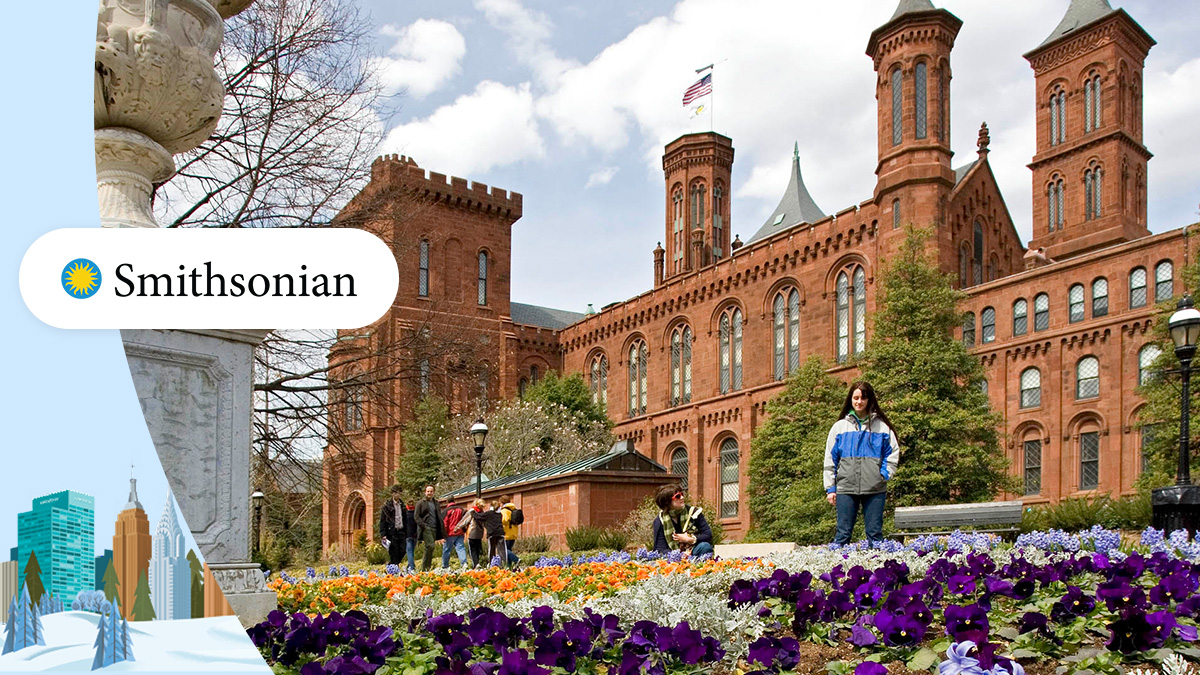 Adapting to a Changing World, the Smithsonian Rethinks How It Engages ...