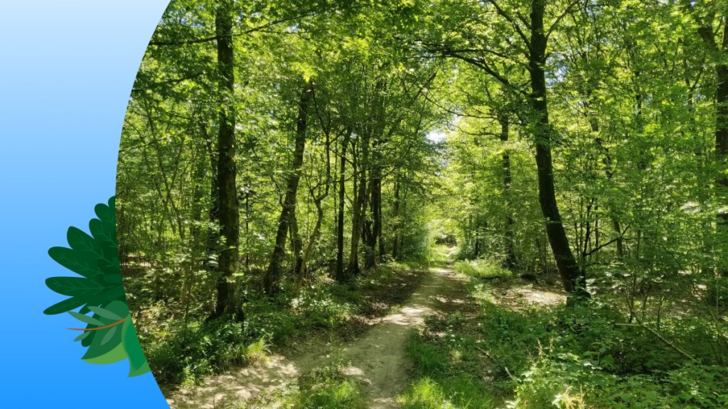 Salesforce Launches ‘Green Code’ Initiative to Reduce Carbon Footprint ...