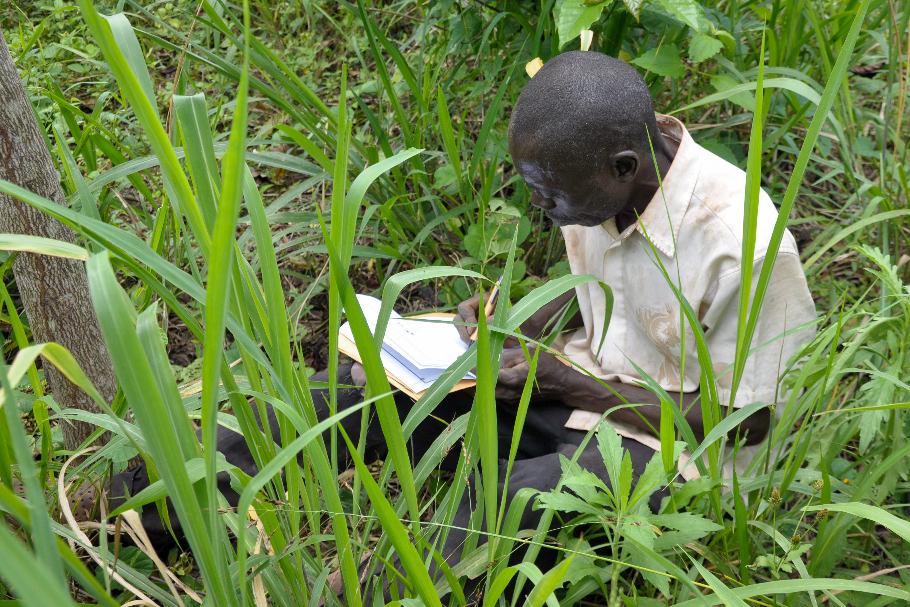 100M Trees Funded by 2030: Evaluating Our Progress - Salesforce